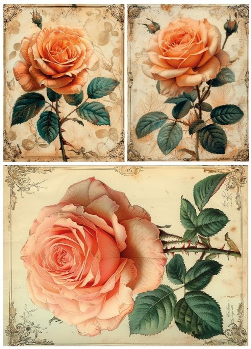 Three Pack Large Rose Rice Paper by LaBlanche – My Victorian Heart