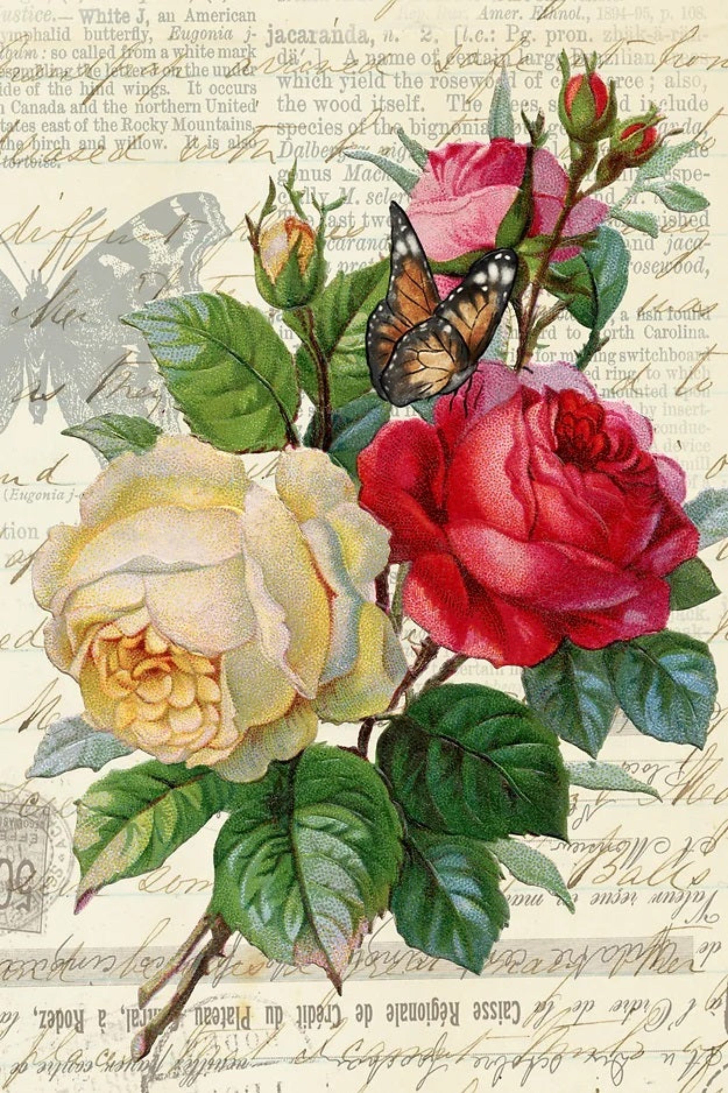 Vicks Flowers Rice Paper by Reba Rose Creations – My Victorian Heart