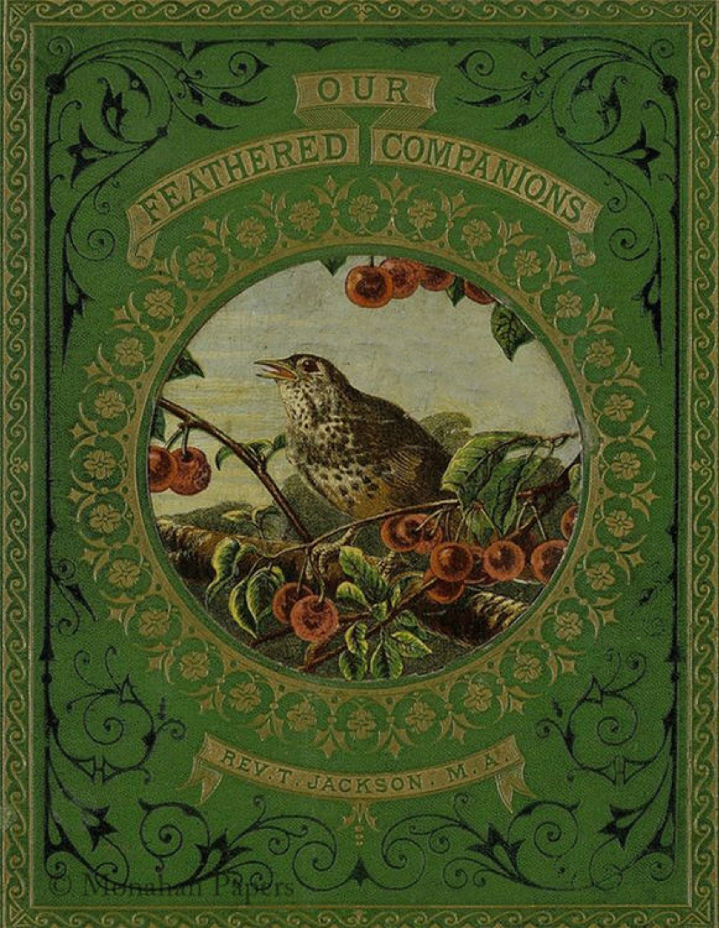 Our Feathered Companions Bird Book Cover by Monahan Papers, X184 – My ...